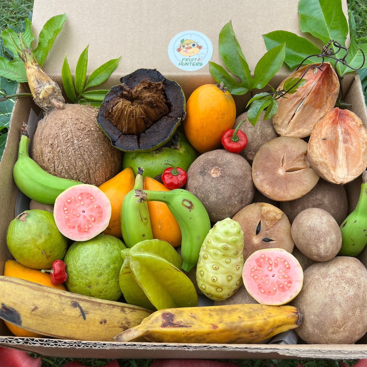 Florida Fruit Box – Fruit Hunters