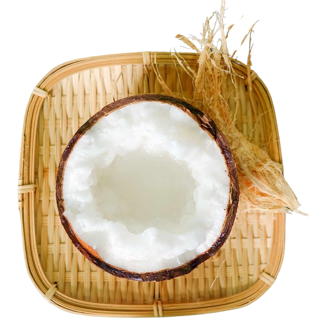 Freeze-Dried Macapuno Coconut Chips – Fruit Hunters