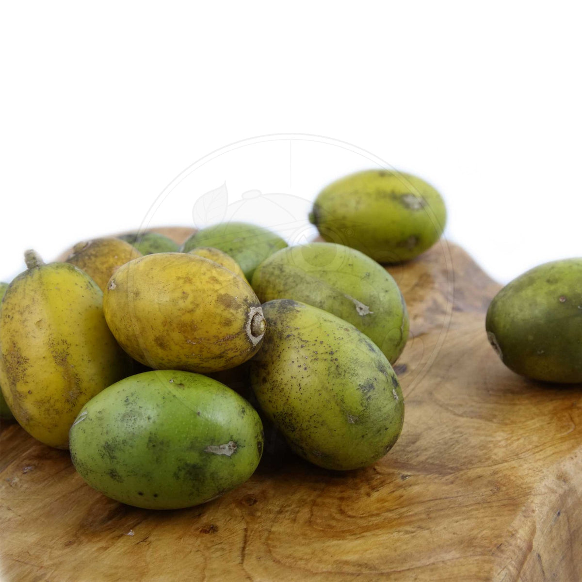 June Plum (Dwarf) – Fruit Hunters