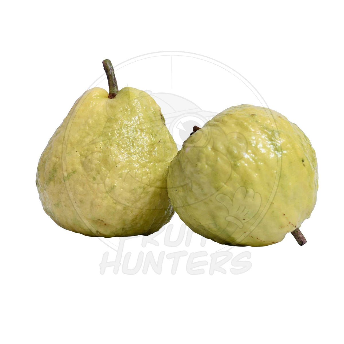 White Guava – Fruit Hunters