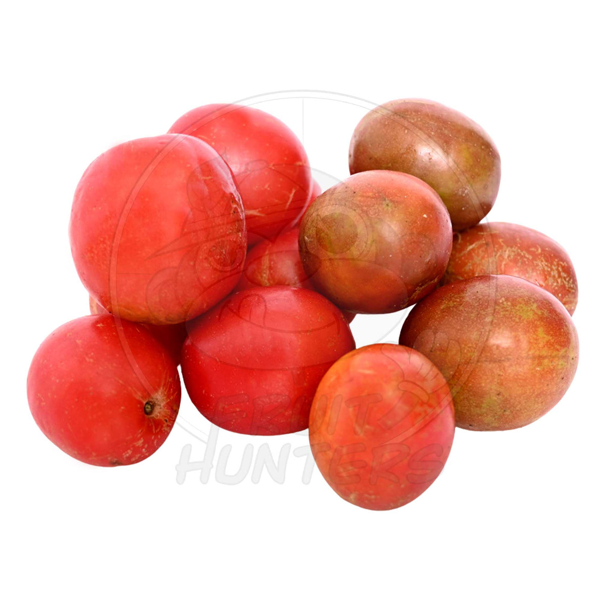 PRE-ORDER Ciruela – Fruit Hunters