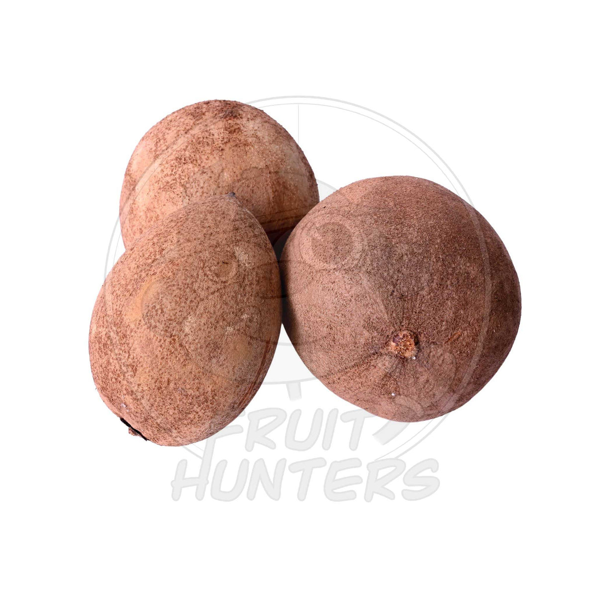 Sapodilla – Fruit Hunters